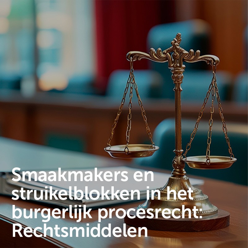 Smaakmakers en struikelblokken in het burgerlijk procesrecht: Kort geding